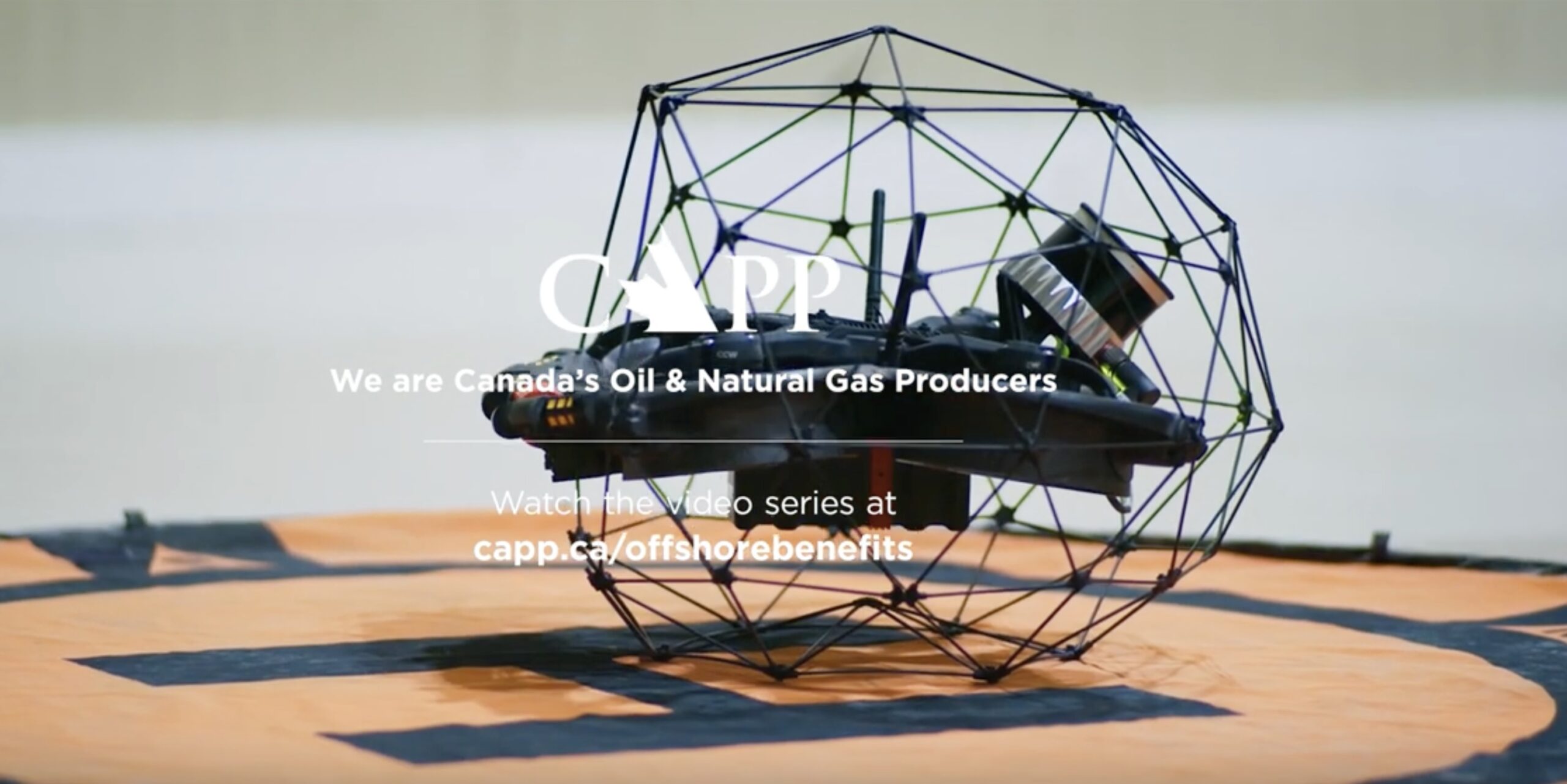 Altomaxx - Professional Drone Services